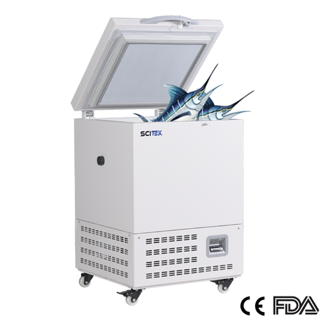 -60°C Tuna Freezer - Buy Best Ultra-low Freezer on Scitek