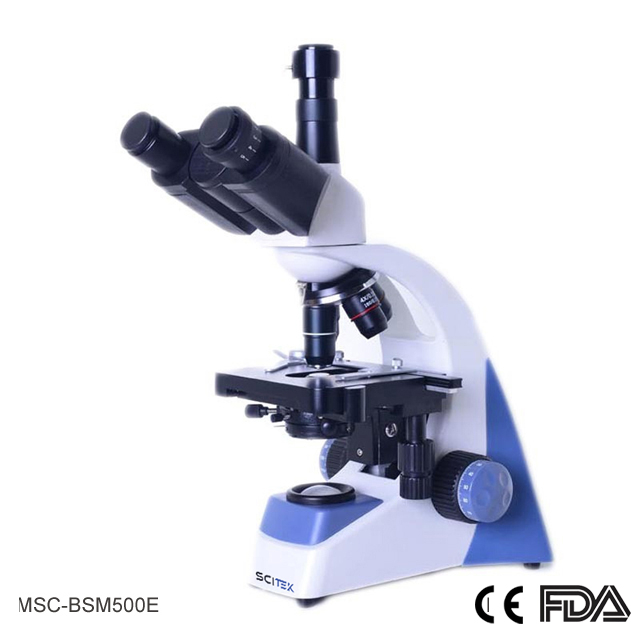 Entry Level Biological Microscope Economical Series - Scitek