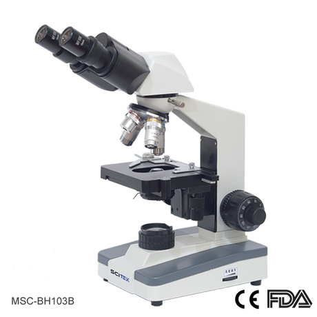 Seidentopf Binocular Head Biological Microscope for Sale - Scitek