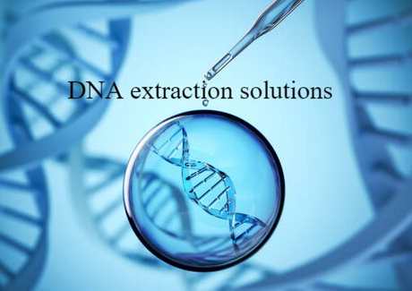 DNA Extraction Lab Methods - Scitek