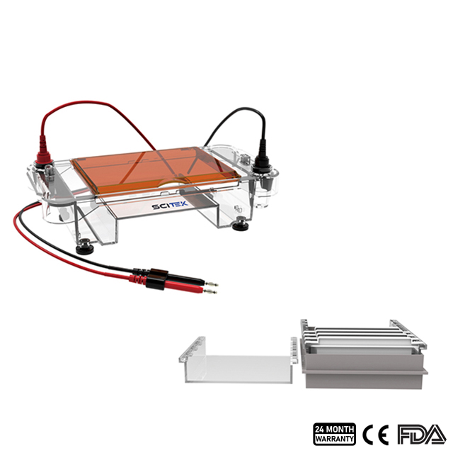 Top Horizontal Electrophoresis Tank for Sale - Scitek