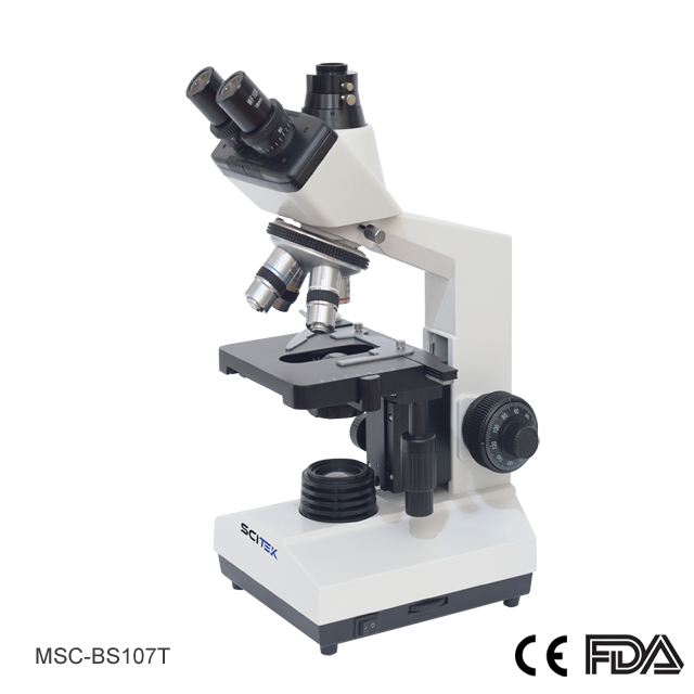 Professional Phase Trinocular Biological Microscope for Sale - Scitek