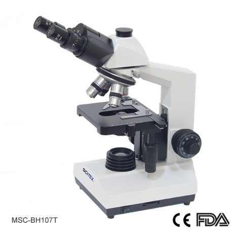 Professional Phase Trinocular Biological Microscope for Sale - Scitek