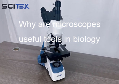 Importance of Biological Microscope in Lab