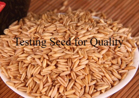 Testing Seed for Quality: Seed Testing Instruments