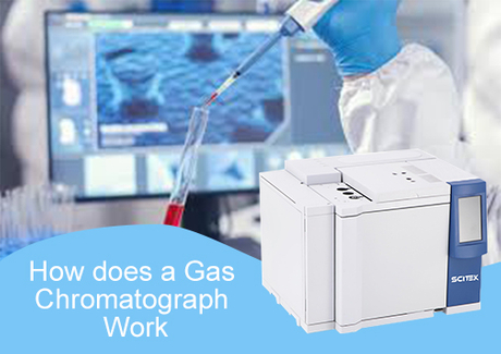 How does a Gas Chromatograph Work