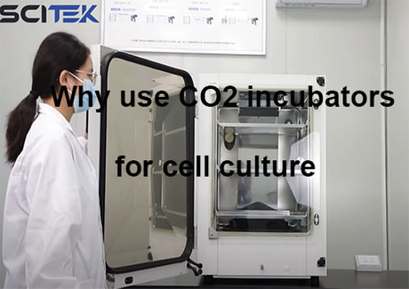 What is CO2 Incubator