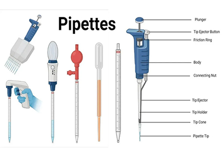 Pipettes - Principles, Components, Types, Operation