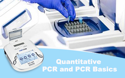 Quantitative PCR and PCR Basics