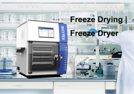 Freeze Drying: How It Works, Choose, Recommendation